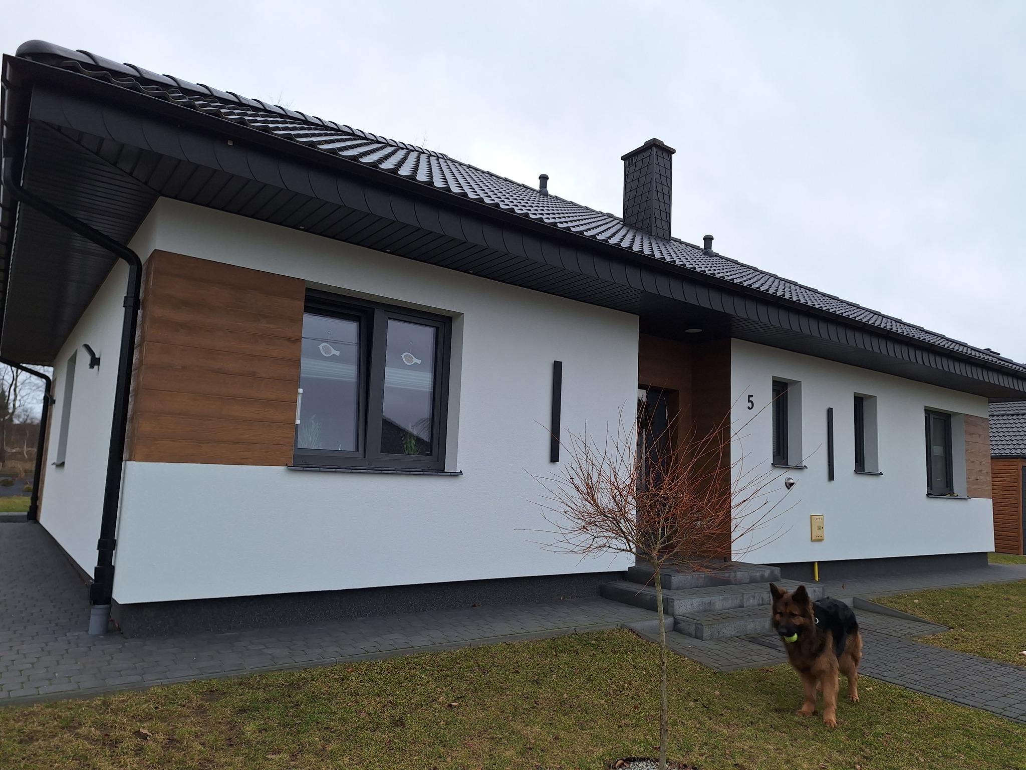 Fasadne obloge imitacija drveta - jeftino, toplo i jednostavno - DECO Adria